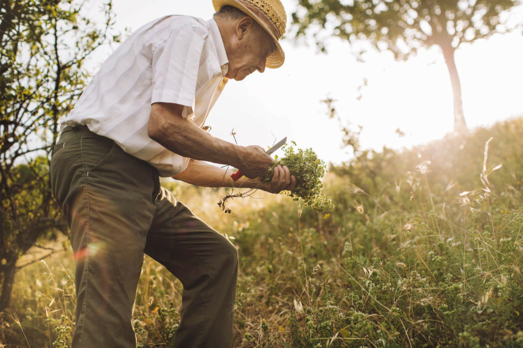 See Italy Travel by Laura Massoni Travel