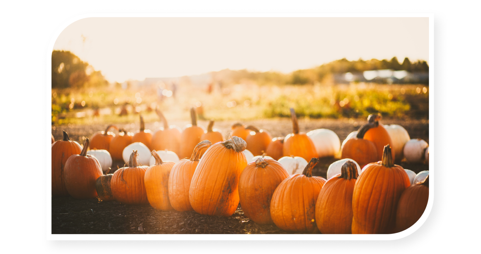 Italy’s Spookiest Places and Halloween Traditions - See Italy