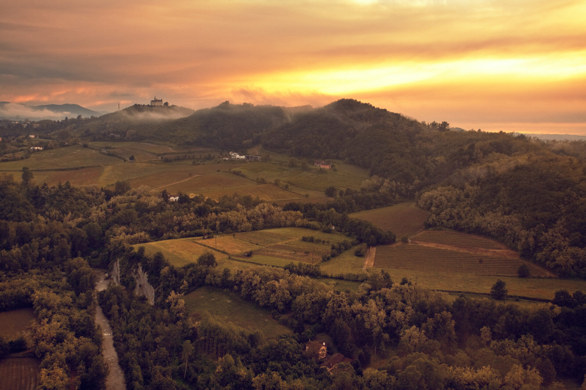Gavi Wine Region: A Field Report from Piedmont | See Italy